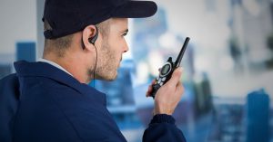 Theme Parks Security Guard Services | American Global Security